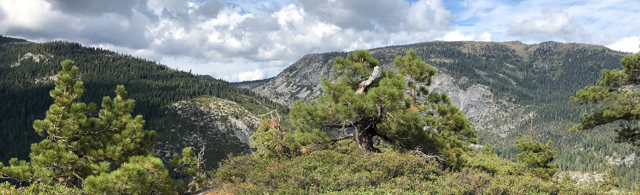 Sayles Canyon Trail: 225 Reviews, Map - California | AllTrails