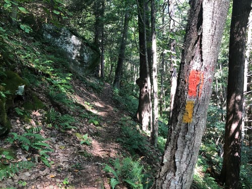 Best 10 Hikes and Trails in Sproul State Forest | AllTrails