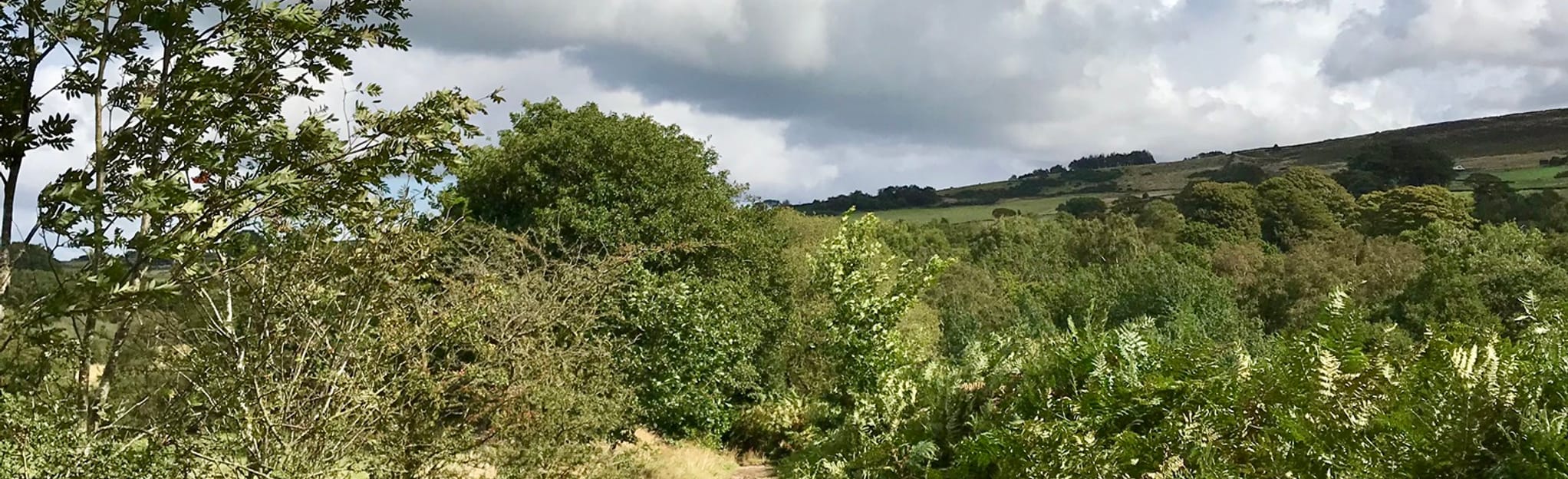 Disley Circular, Derbyshire, England - 84 Reviews, Map | AllTrails