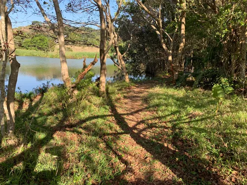 10 Best Trails and Hikes in Ballito | AllTrails