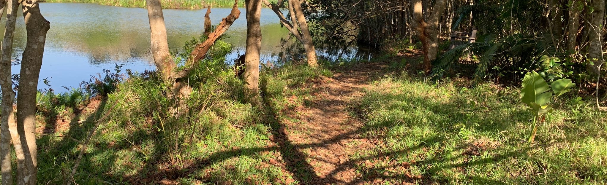 Mfuleni Trail, Kwazulu-Natal, South Africa - 4 Reviews, Map | AllTrails