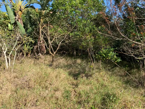 Best Lake Trails in Ballito | AllTrails