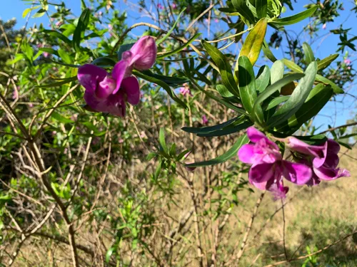 10 Best Trails and Hikes in Ballito | AllTrails