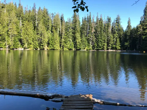 Best Lake Trails in Forks | AllTrails