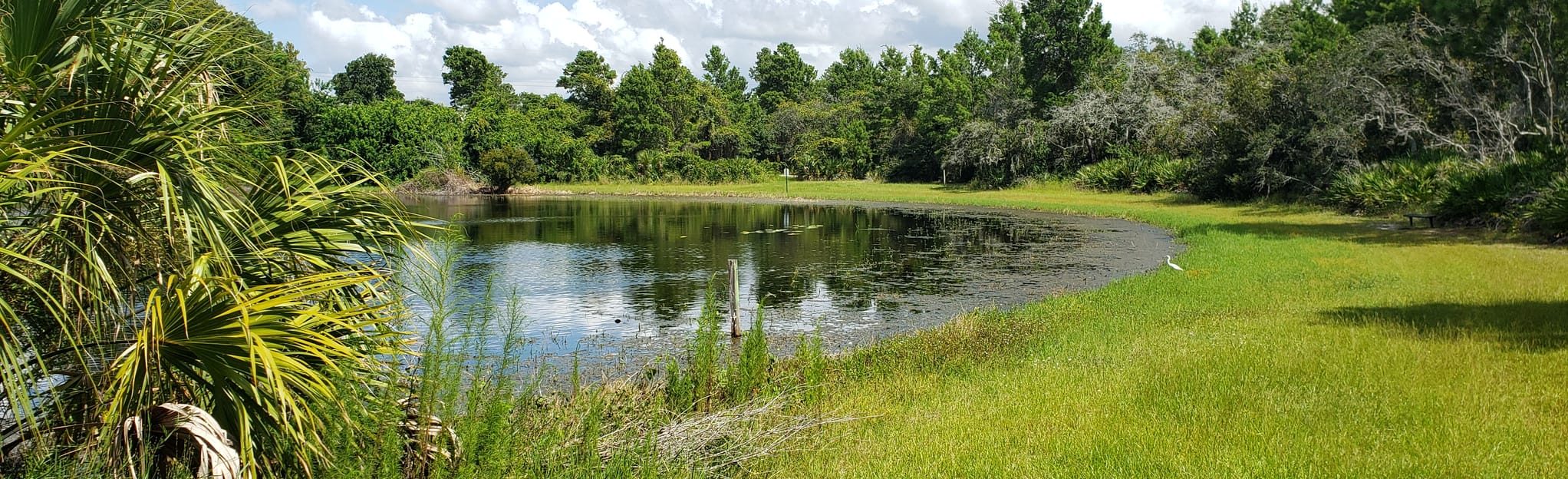 Shadow Bay Park Loop, Florida - 167 Reviews, Map | AllTrails