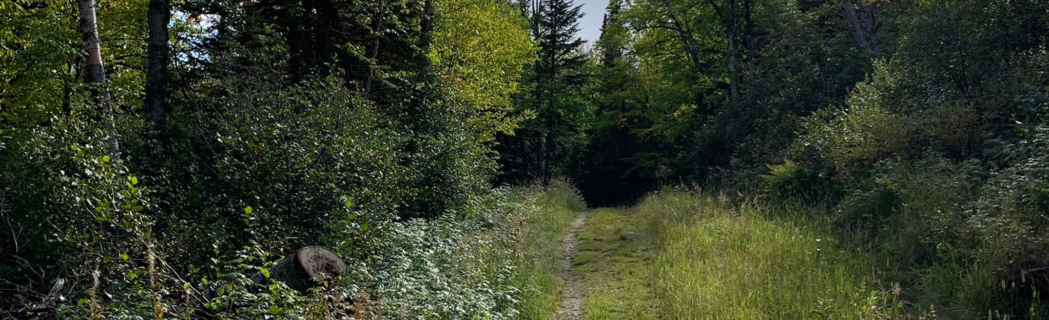 Dumbell Mines Loop: 1 Reviews, Map - Newfoundland and Labrador, Canada ...