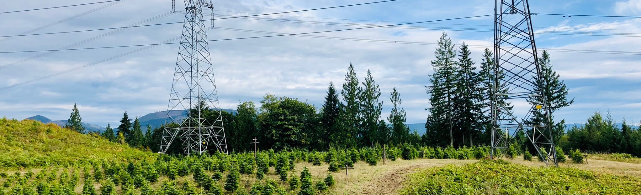 Victoria, Armstrong, & Pilchuck Trails | Map, Guide - Washington ...