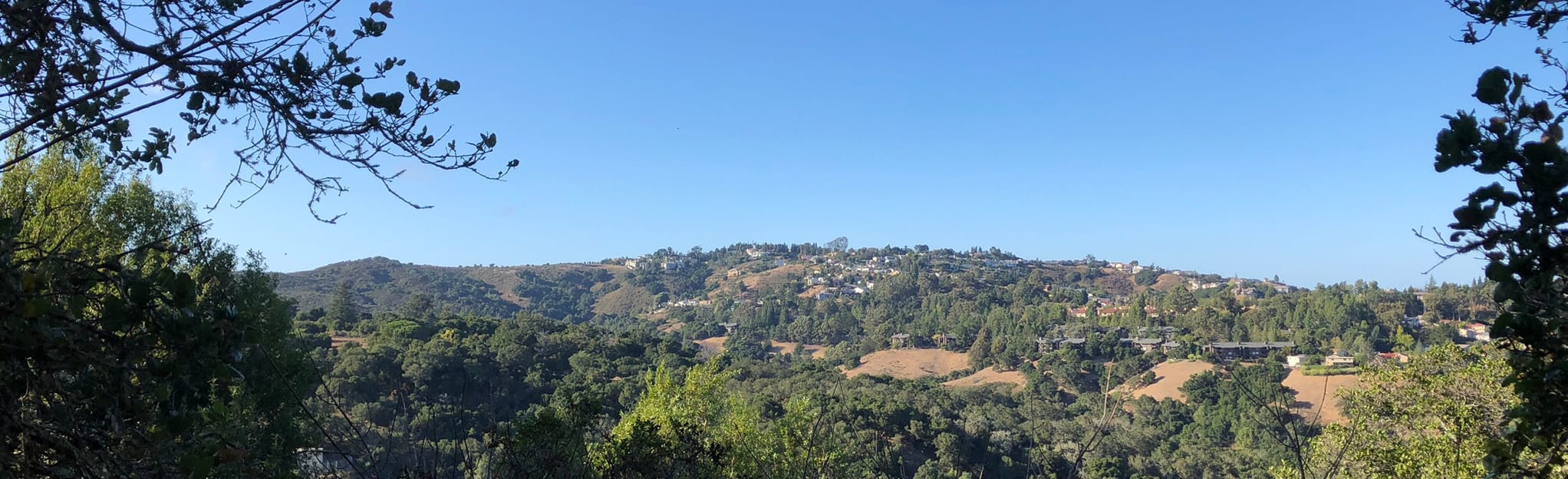 Edgewood Trail Loop: 2182 Reviews, Map - California | AllTrails