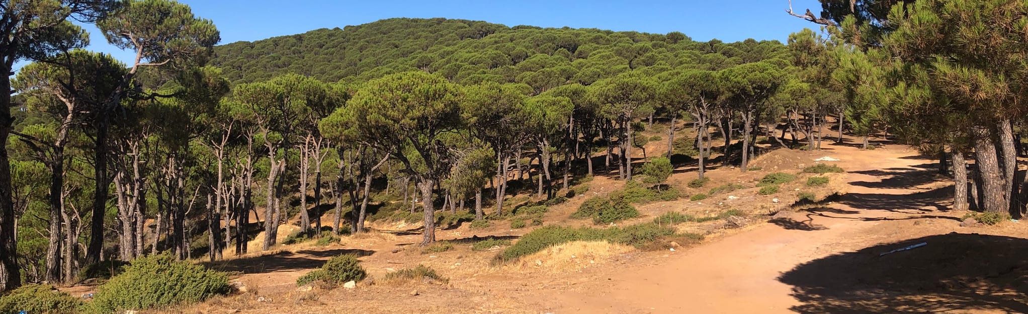 Baskinta LMT 09: 9 Reviews, Map - Mount Lebanon, Lebanon | AllTrails