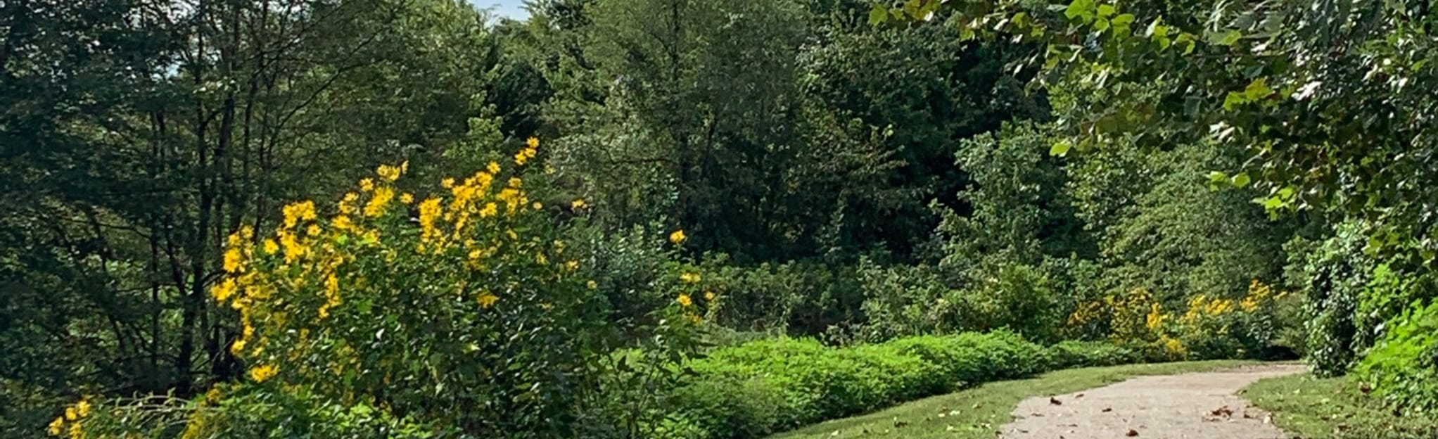 Little Blue Trace Trail: Necessary Rd to Hilton Garden, Missouri - 447 ...