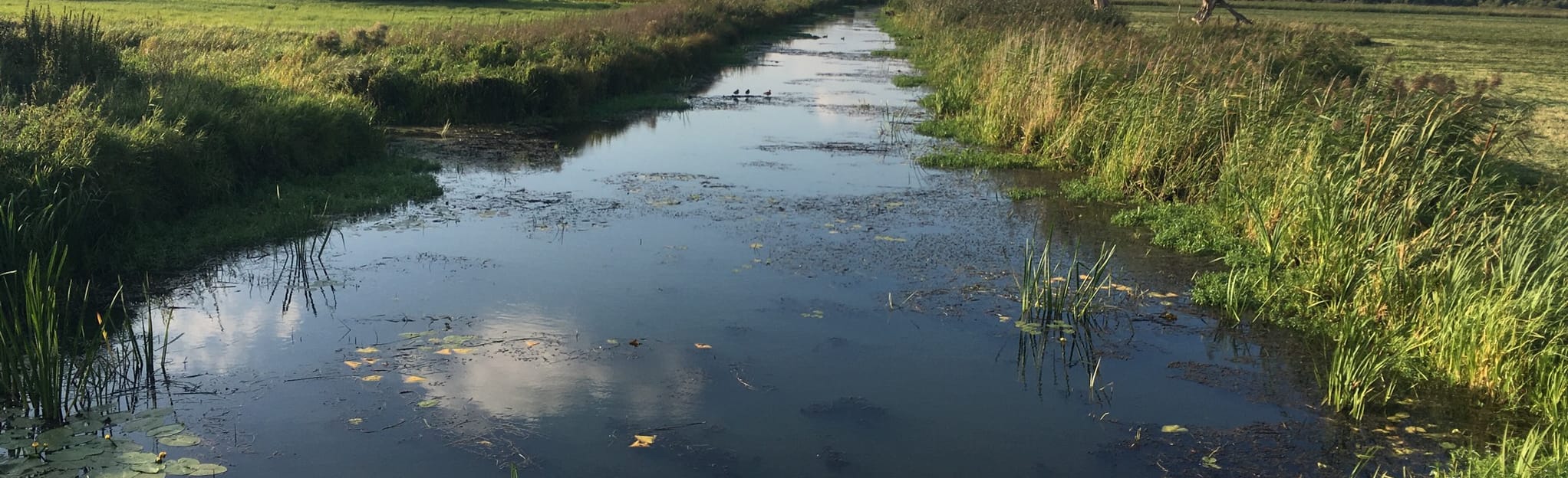 On a Bike through the Northern Polder Nature Trail, Lubusz, Poland ...