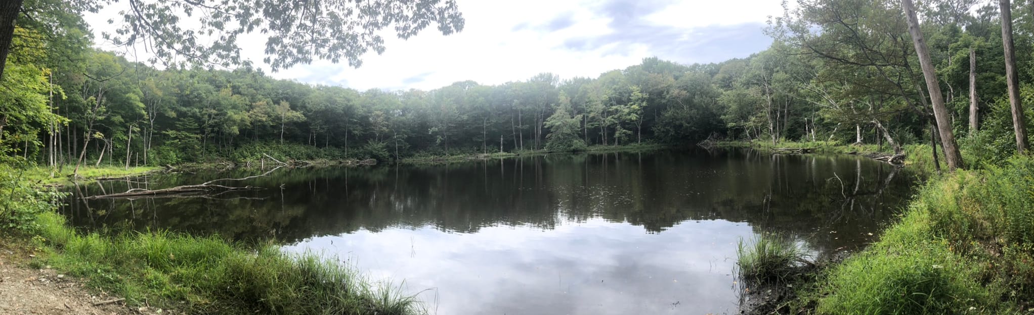 Taconic Crest Trail to Tower Mountain, Massachusetts - 42 Reviews, Map ...