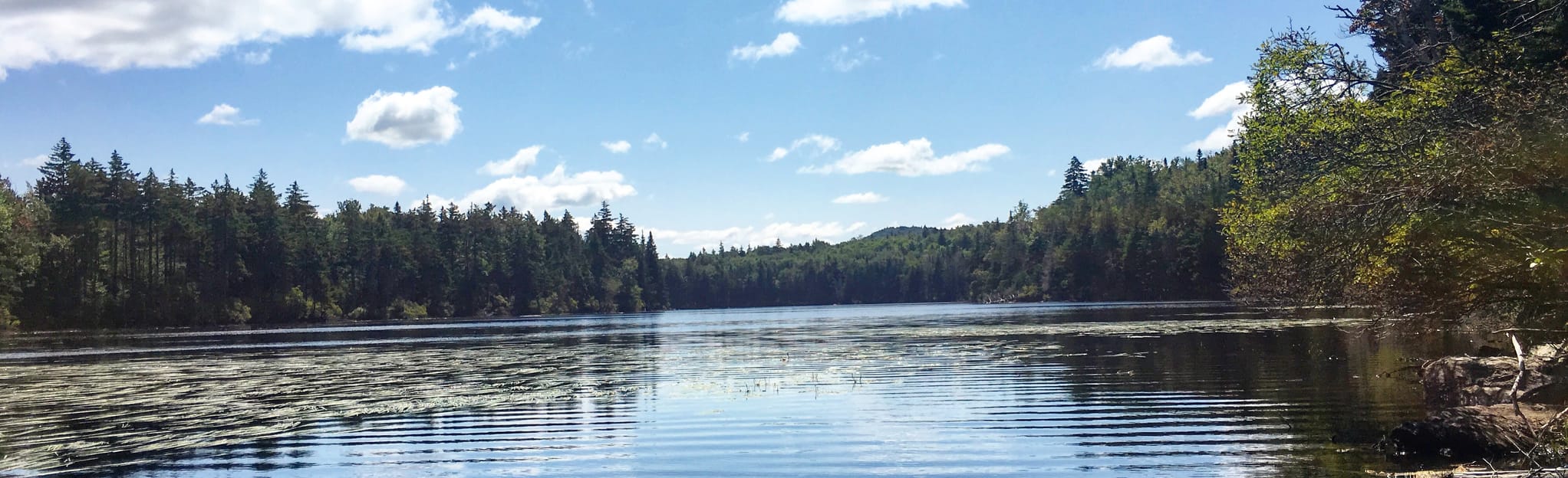 Griffith Lake Trail via S End Rd, Vermont - 47 Reviews, Map | AllTrails