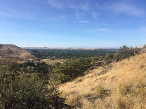 Best Hikes and Trails in Chief Eagle Eye Reserve | AllTrails