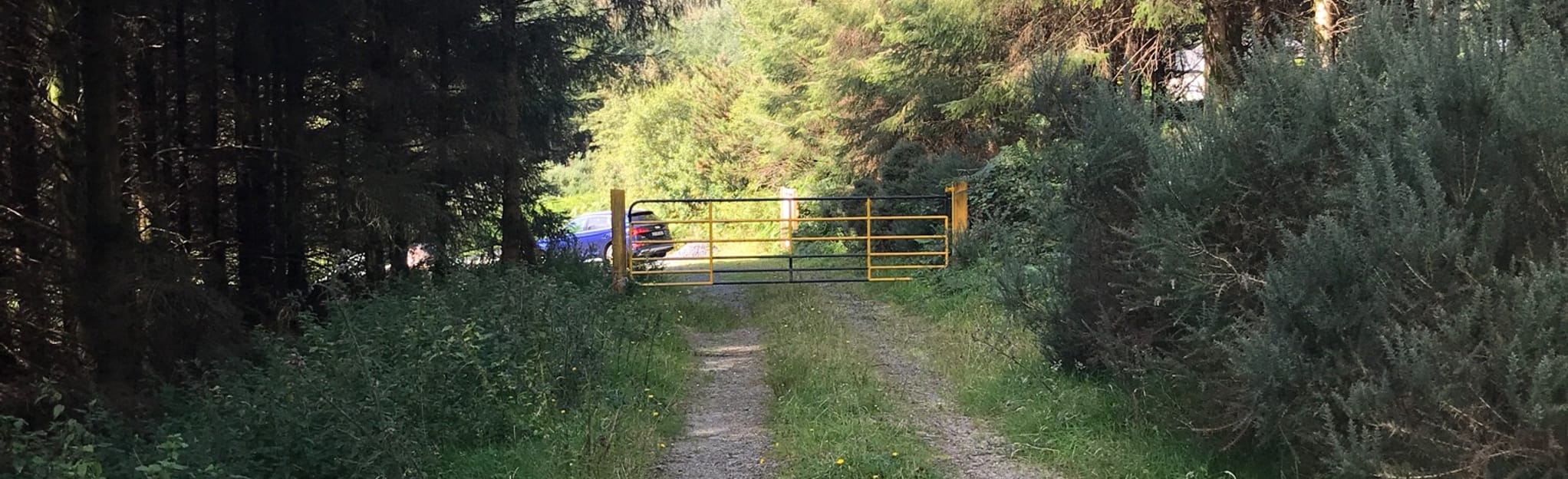 Kiltealy Ballycrystal Trail, County Wexford, Ireland - 4 Reviews, Map ...