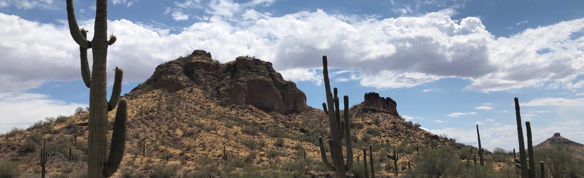 San Tan Trail to Moonlight Trail, Arizona - 767 Reviews, Map | AllTrails