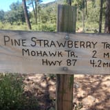 Pine Strawberry Trail to Arizona Trail, Arizona - 127 Reviews, Map ...