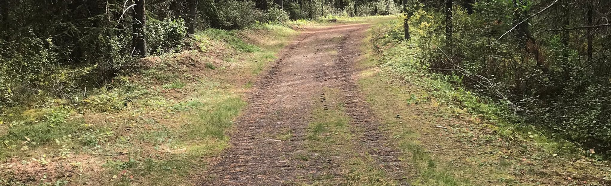 Rolly Road Training Grid, Alberta, Canada - 4 Reviews, Map | AllTrails