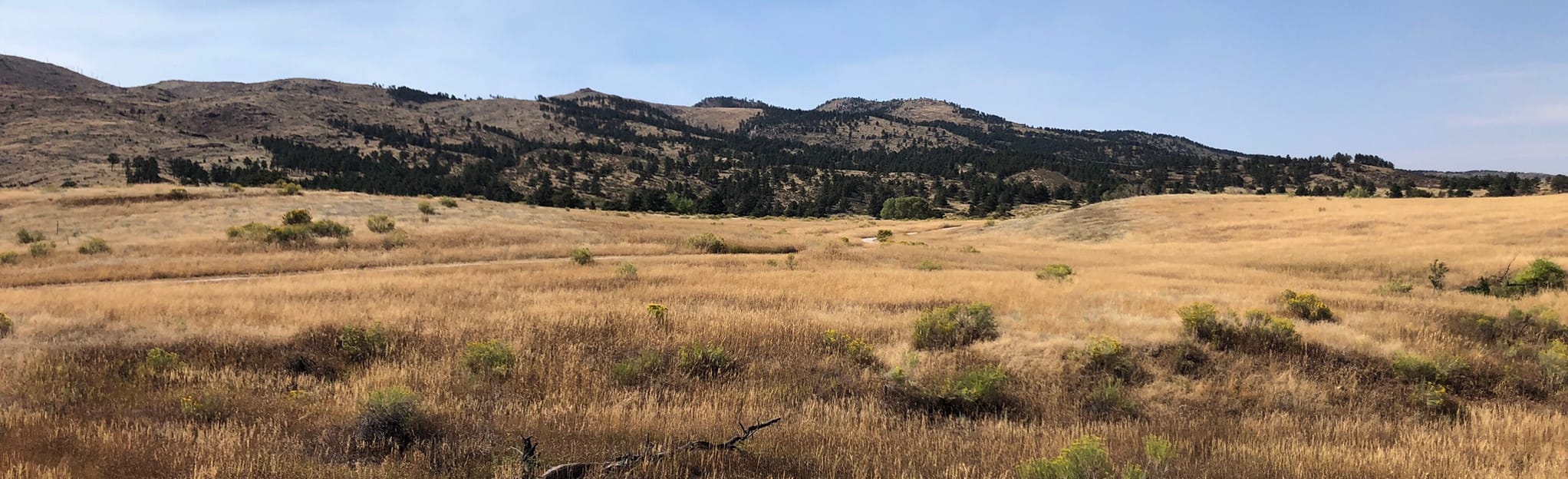 Bobcat Ridge Picnic Shelter: 9 Reviews, Map - Colorado | AllTrails
