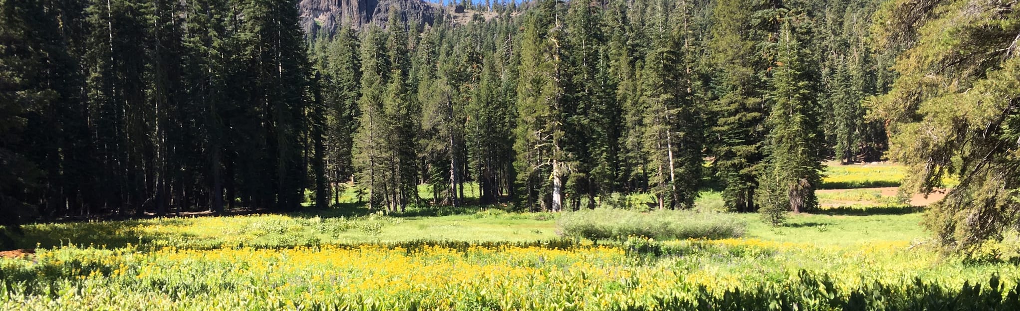 Plasse Trading Post, California - 25 Reviews, Map | AllTrails