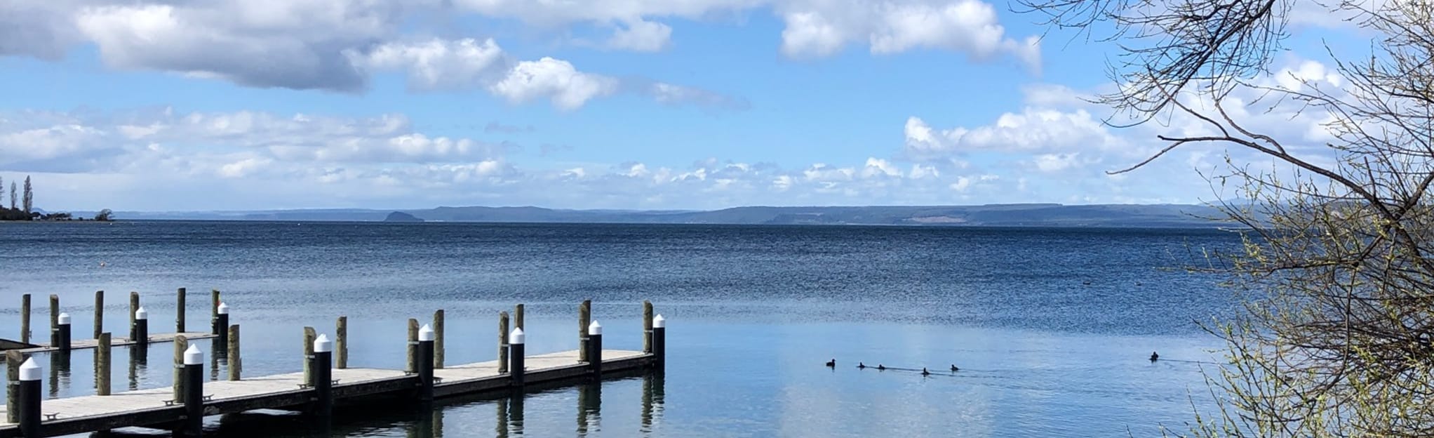 Pukawa Walk to Omori Boatramp, Waikato, New Zealand - 19 Reviews, Map ...