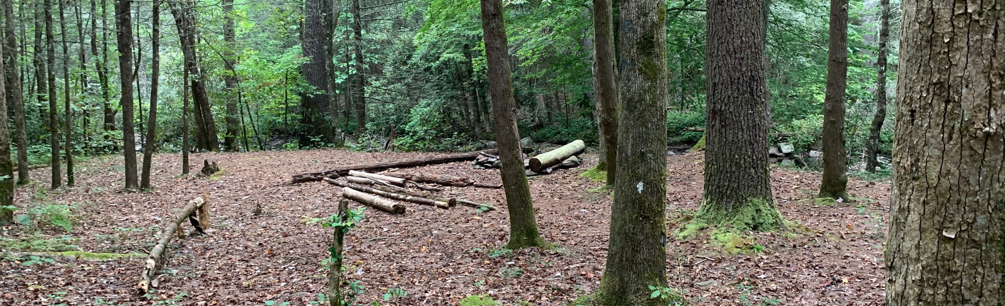 Cohutta Big Frog Mountain Loop: 6 Reviews, Map - Georgia | AllTrails