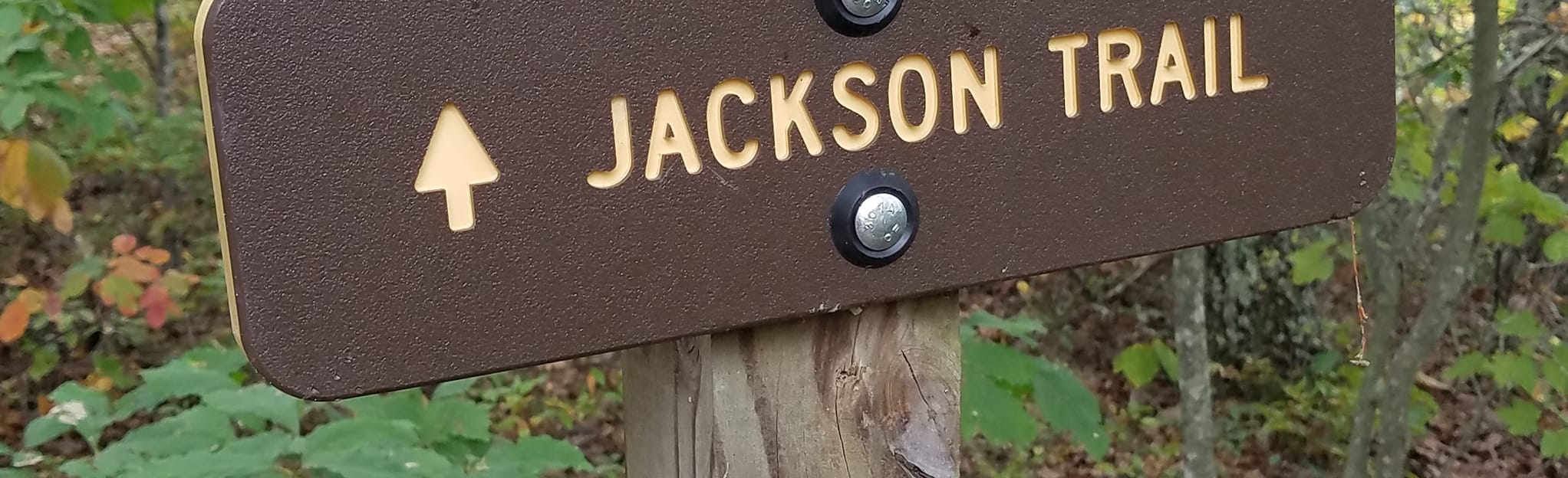 Jackson Trail, Virginia - 6 Reviews, Map | AllTrails