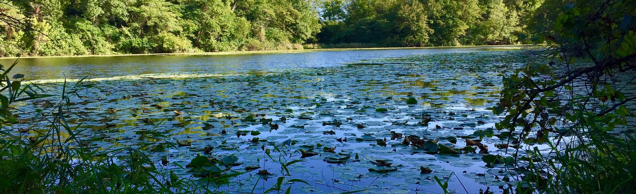 Red Haw Lake: 38 Reviews, Map - Iowa | AllTrails