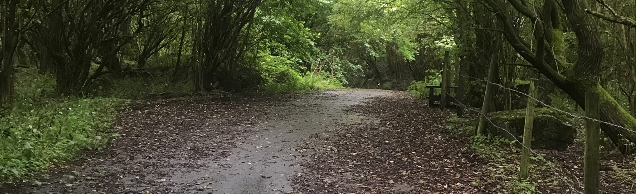 Clywedog Trail, Wrexham, Wales - 12 Reviews, Map | AllTrails