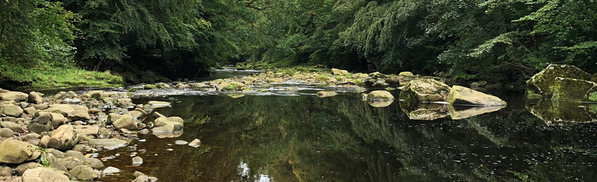 Bardon Mill to Haydon Bridge via Allen Banks, Northumberland, England ...