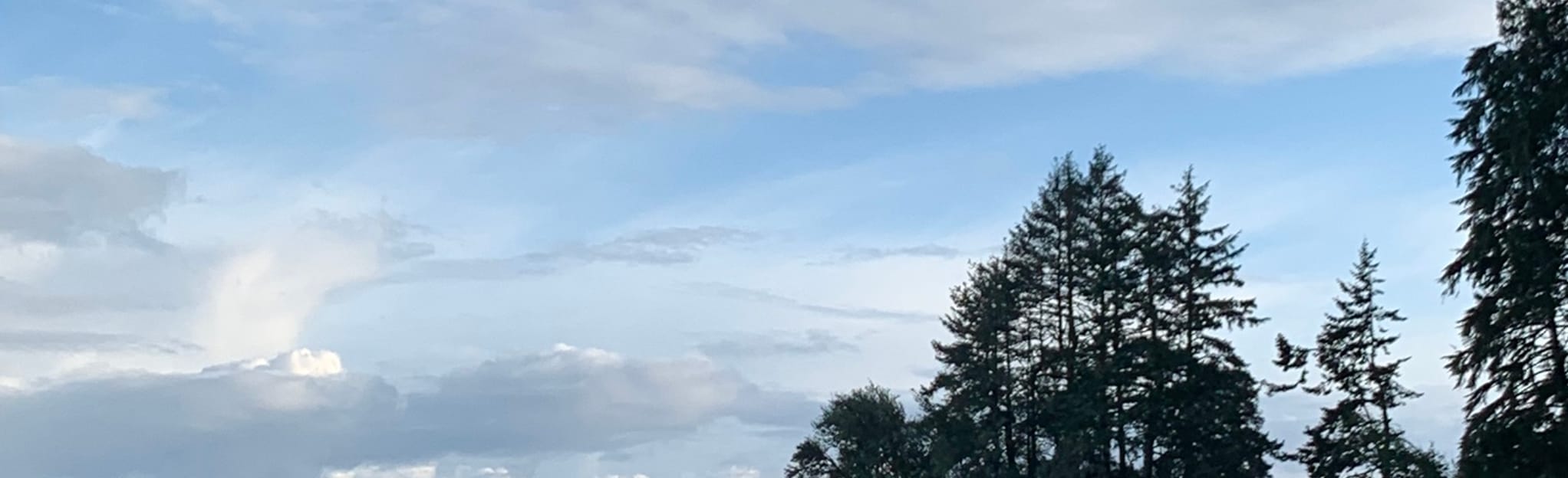 West Coast Trail: Thrasher Cove to Gordon River: 90 foto's - Brits ...