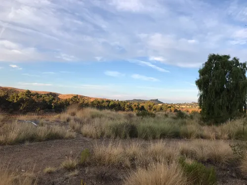 Best Hikes and Trails in Irvine Regional Park | AllTrails