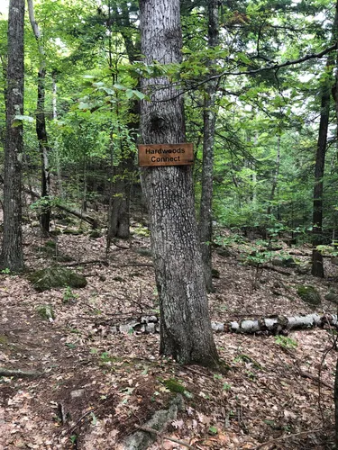 10 Best Trails and Hikes in Lebanon | AllTrails