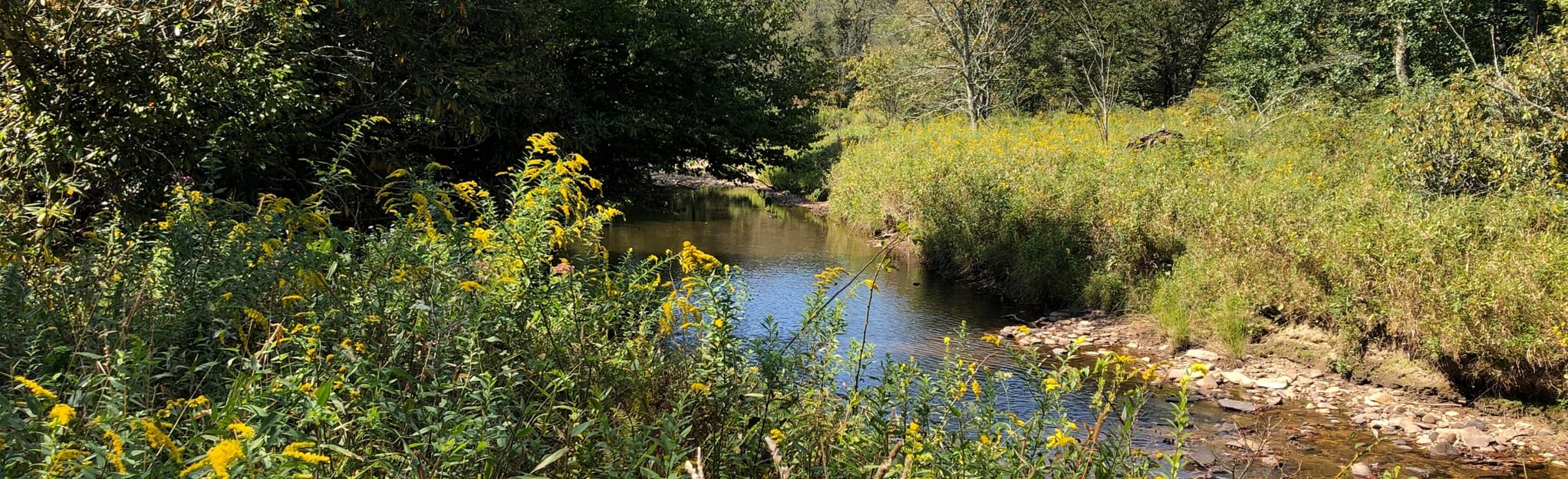 Old John's River Road and Boone Fork Trail Loop: 93 Reviews, Map ...