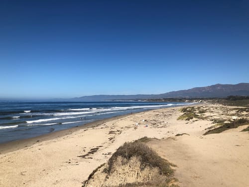 Best Hikes and Trails in Coal Oil Point Reserve | AllTrails