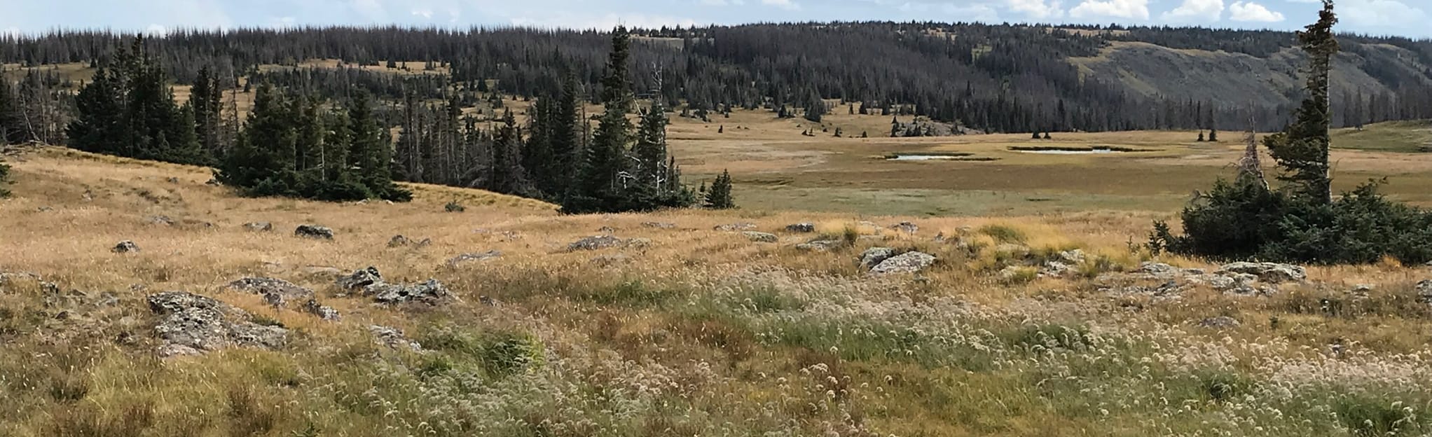 Red Lake Trail, Colorado - 144 Reviews, Map | AllTrails