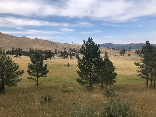 Best Hikes and Trails in Bobcat Ridge Natural Area | AllTrails