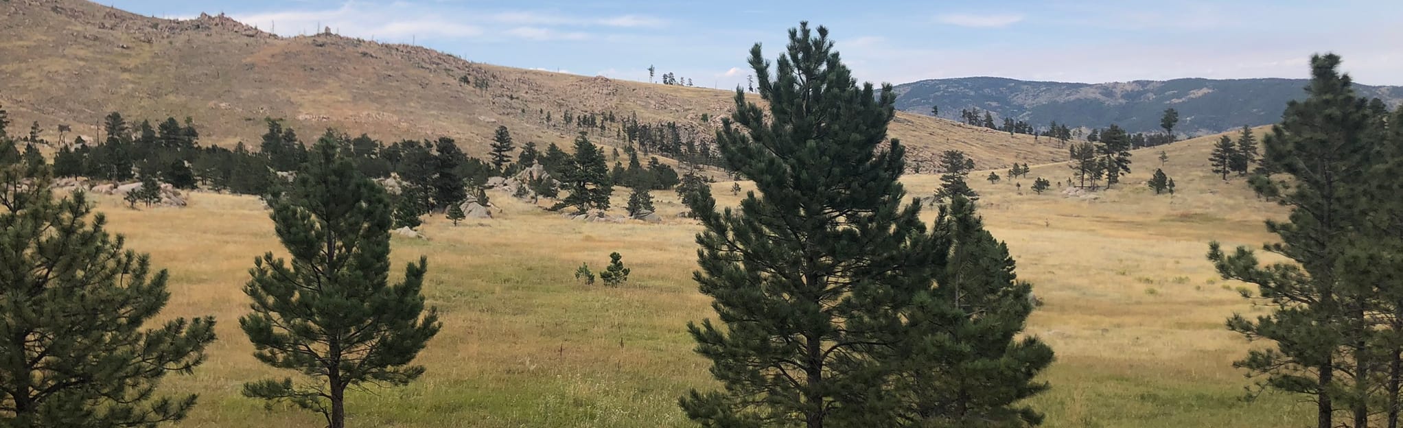 Ginny and D.R. Trail, Colorado - 78 Reviews, Map | AllTrails