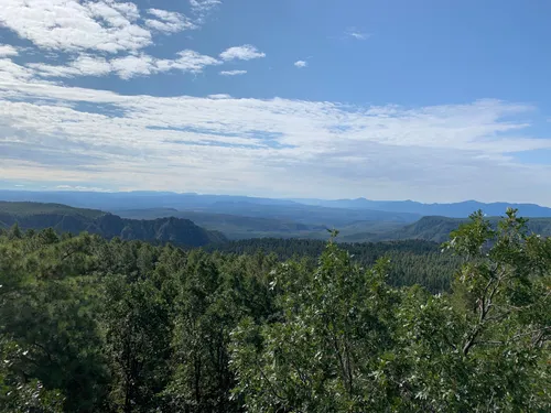 Best Short Trails in Happy Jack | AllTrails