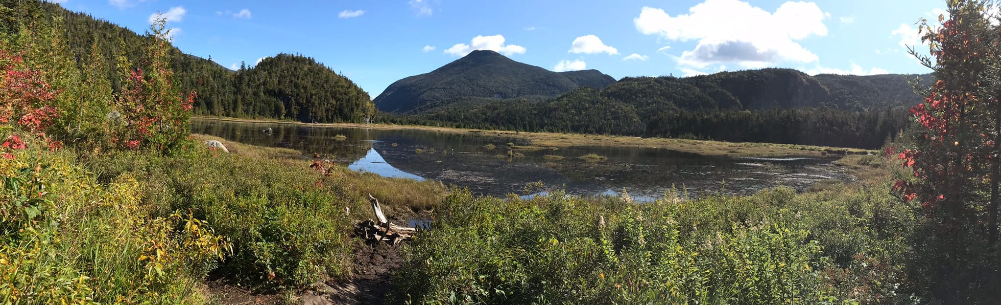 Calamity Brook Trail to Lake Colden, New York - 316 Reviews, Map ...