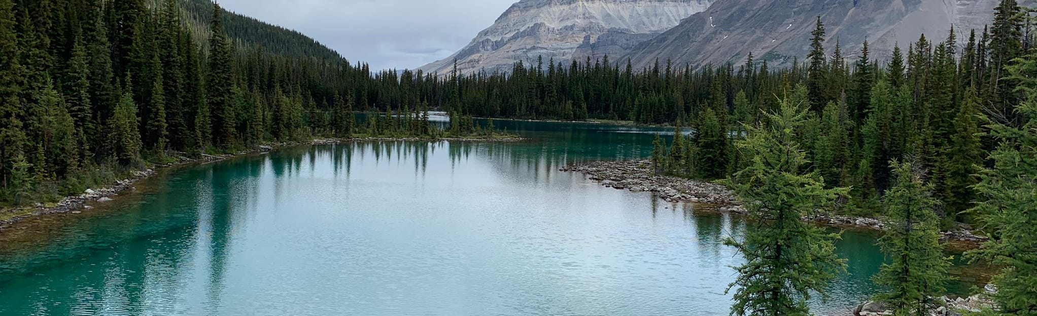 Alpine Meadow, Lake McArthur, Cathedral Falls and Linda Lake Loop: 19 ...