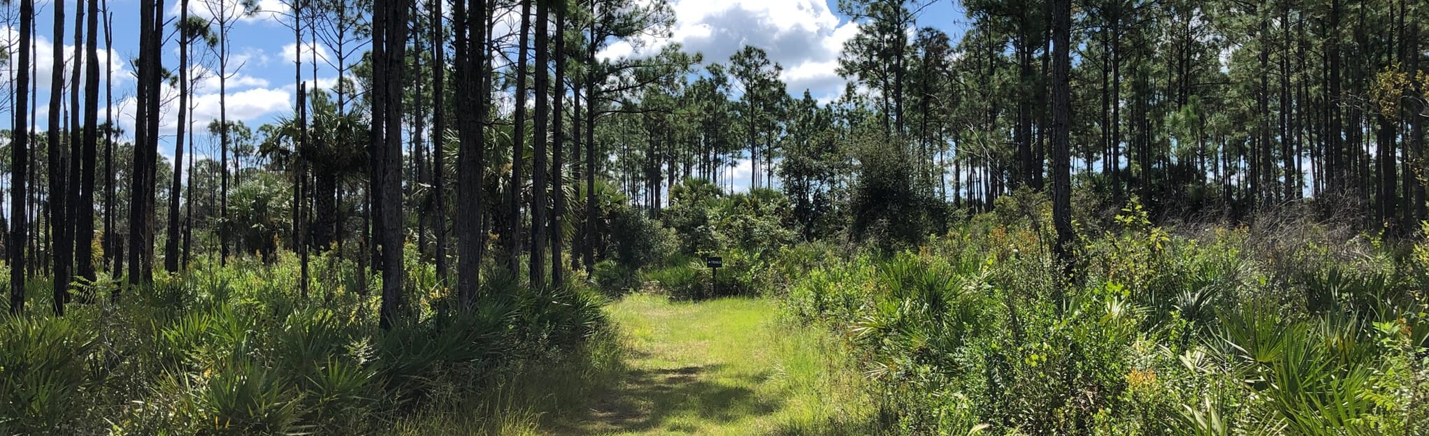 CREW Marsh Trail: 171 Reviews, Map - Florida | AllTrails