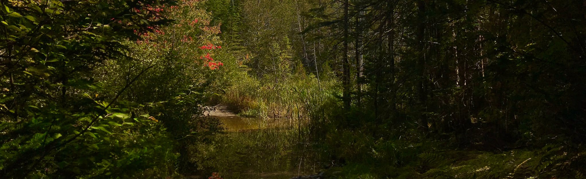 Hunter Lake, Mcbrian Lake and Terreo Lake OHV Route: 8 Reviews, Map ...