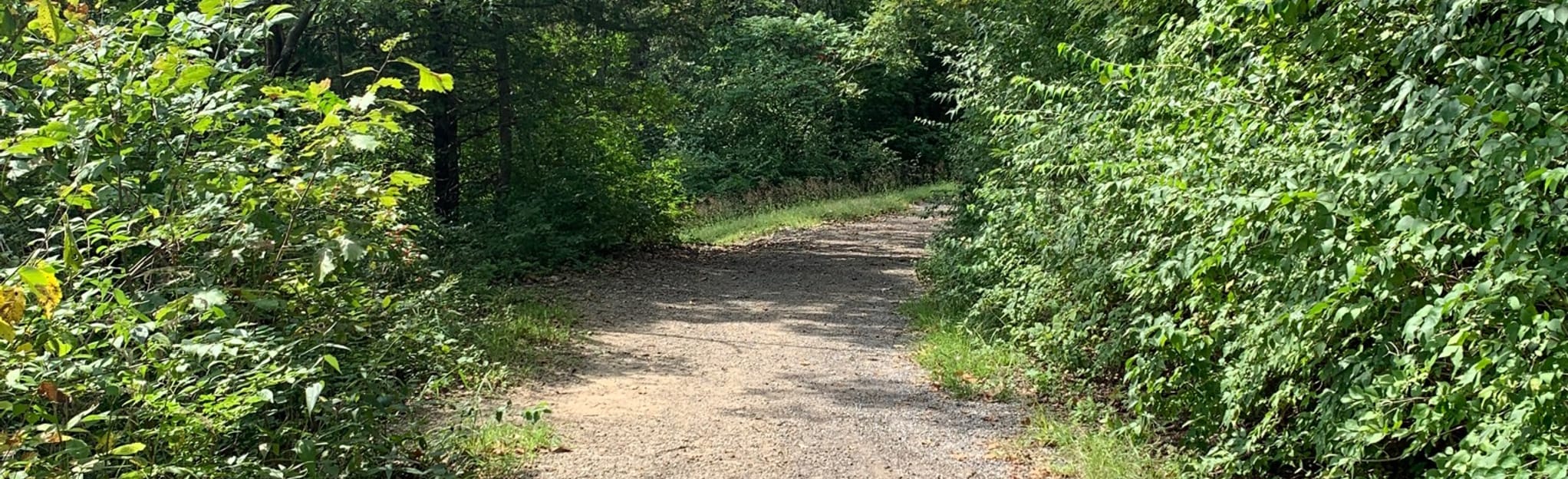 West Dam and Vulture Ridge Loop: 310 Reviews, Map - Kansas | AllTrails