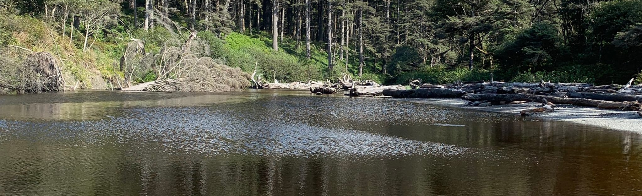 AllTrails | Ruby Beach: 1233 Reviews, Map - Washington