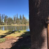 Mt. Elwell and Long Lake Loop, California - 114 Reviews, Map | AllTrails