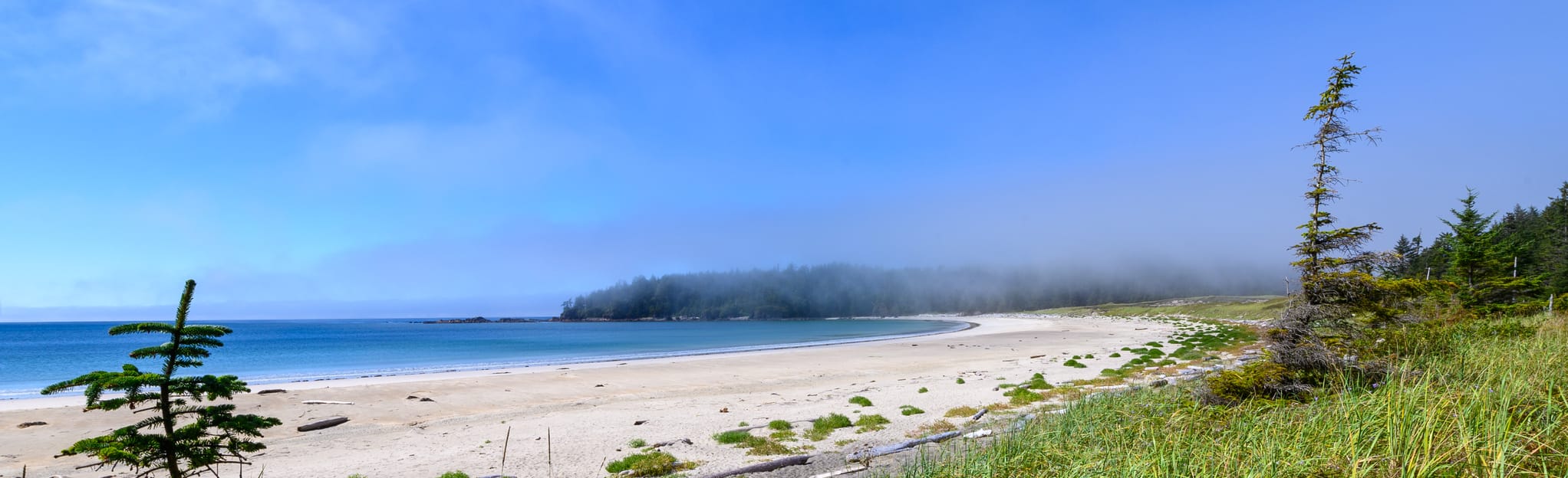 Cape Scott Trail: 240 Reviews, Map - British Columbia, Canada | AllTrails