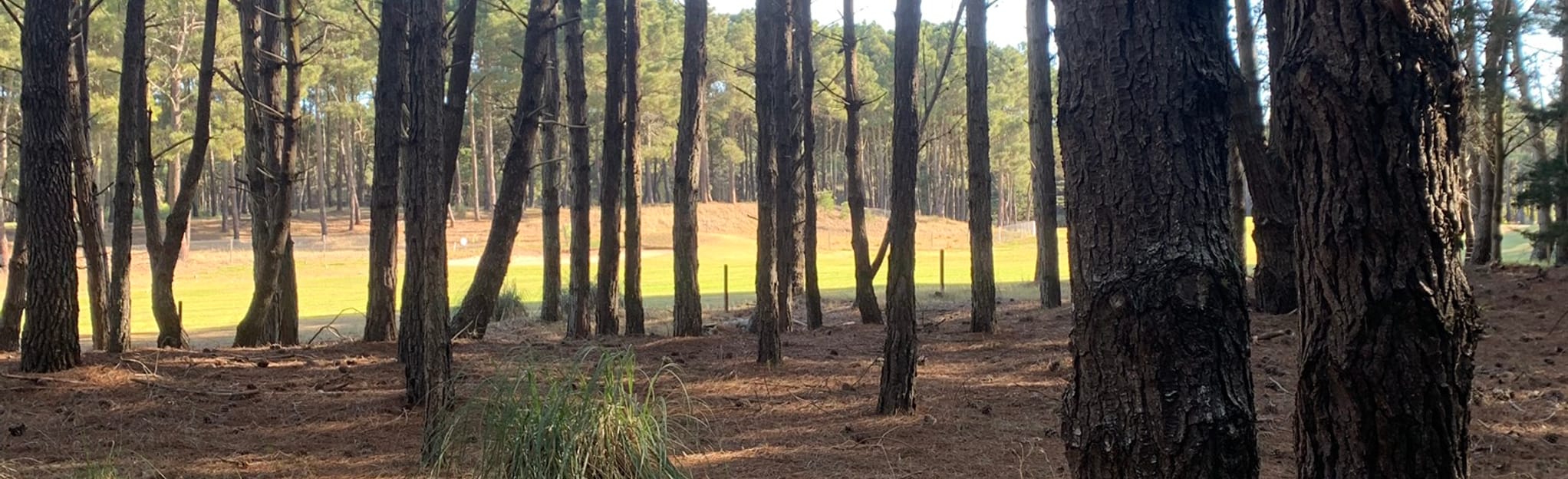 Pinamar Forest, Buenos Aires, Argentina - 6 Reviews, Map | AllTrails