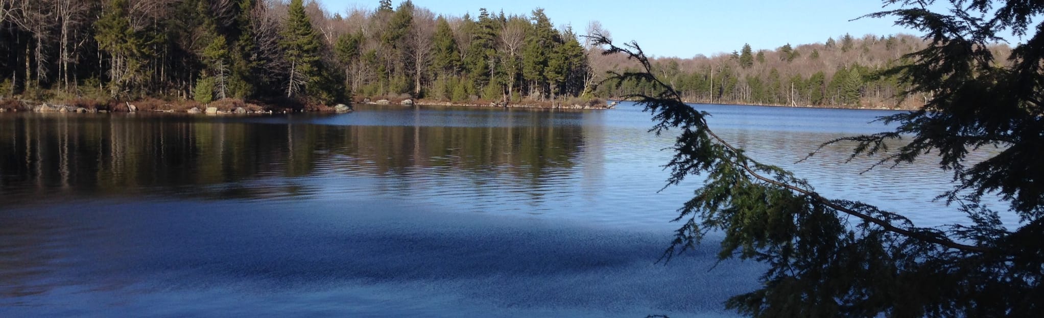 Gull Lake, Chub Pond, Bear Creek Road Trails Loop: 26 Reviews, Map ...