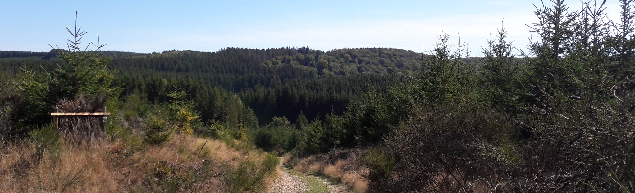 Martelange circuit: 5 Reviews, Map - Luxembourg, Belgium | AllTrails